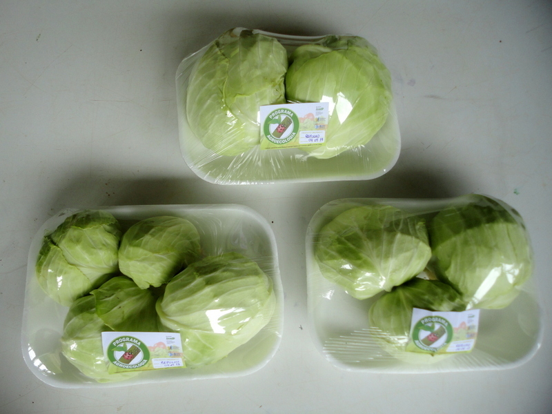 Incaper - Incaper desenvolve tecnologia inédita no mundo para produção ...